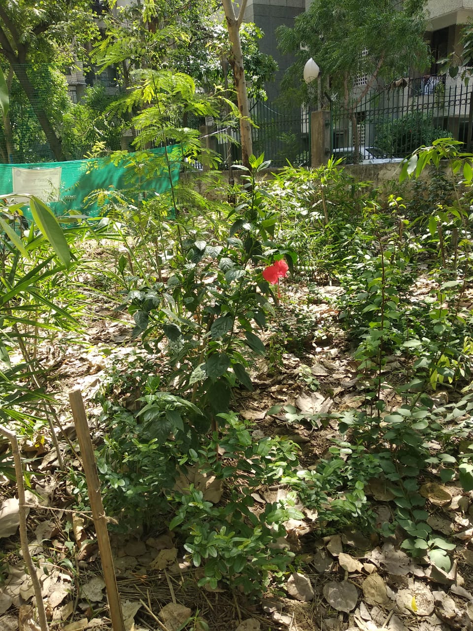 RISE Foundation (NGO) – We Promotes Green, Zero Waste and Sustainable World