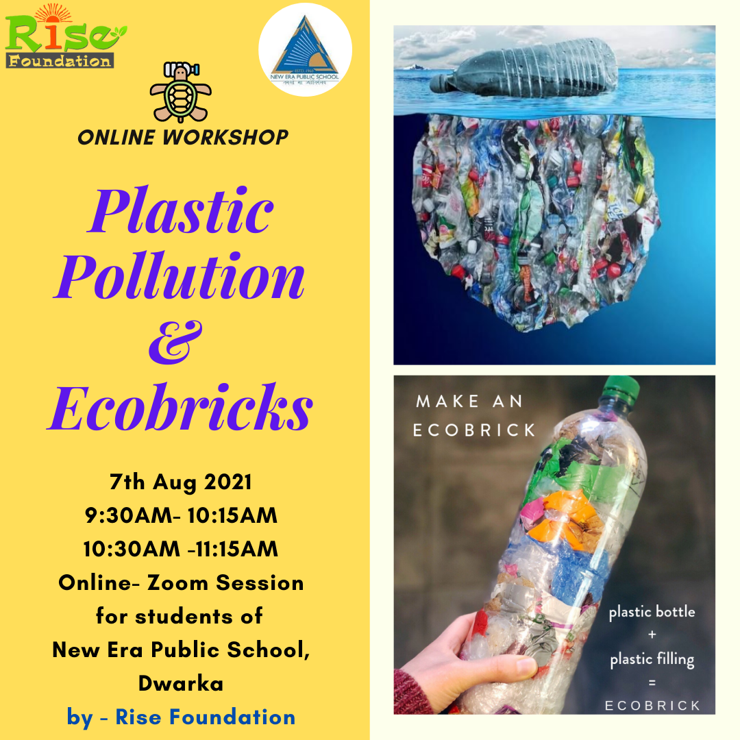 Plastic Pollution Awareness and Ecobricks making workshop to NEPS ...