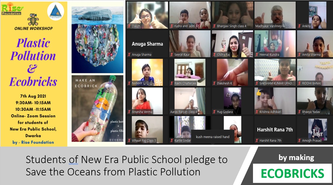 Plastic Pollution Awareness and Ecobricks making workshop to NEPS ...
